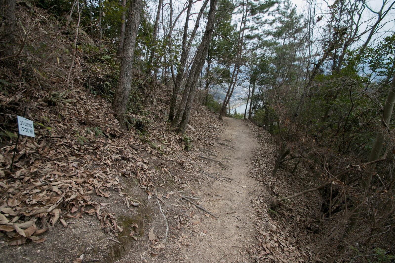 Niitakayama Castle -Intellectual pillar of Mouri clan (2)- | Japan ...