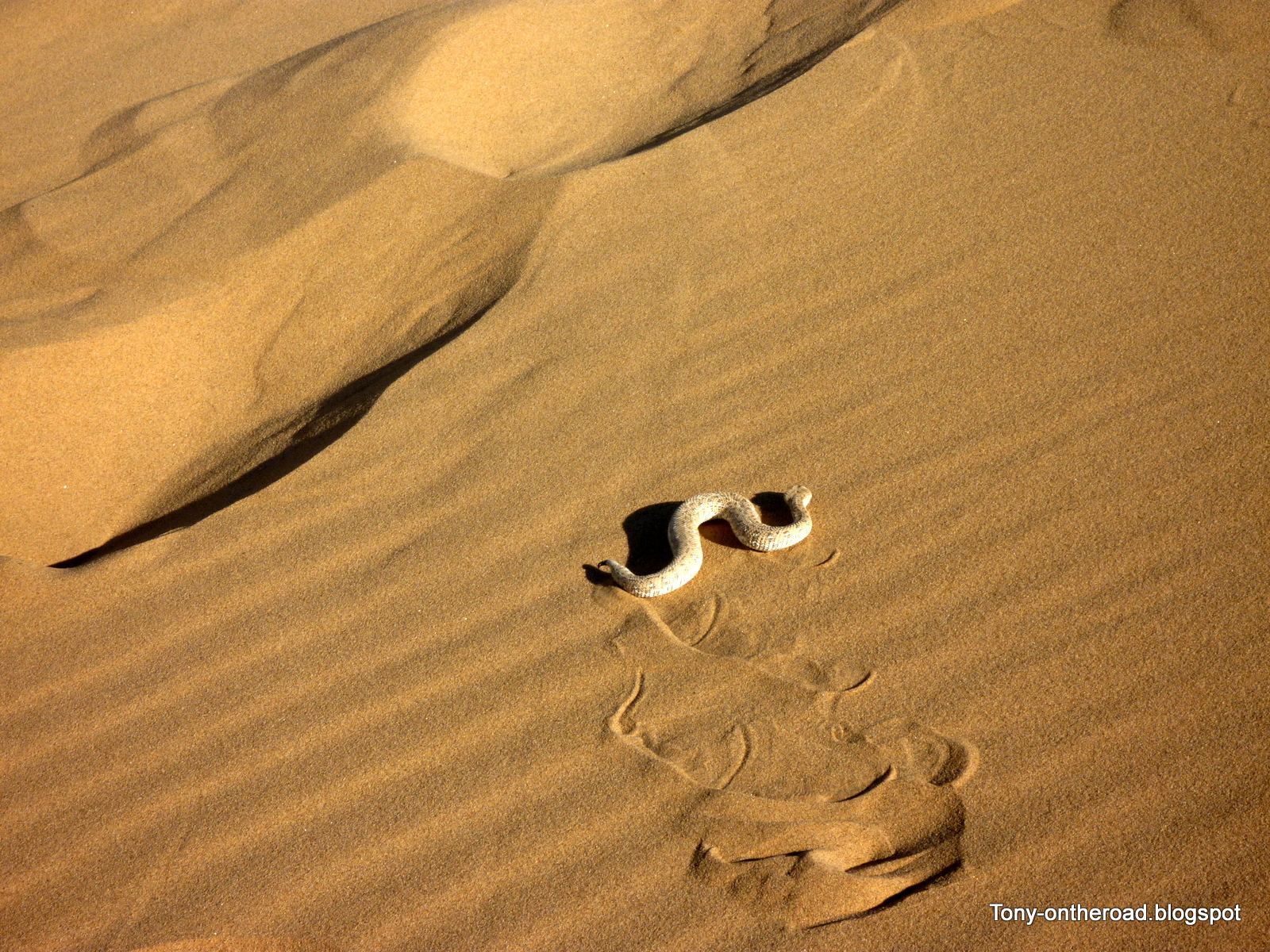 Africa: Winter in Namibia
