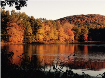 middletowneye: Highland Pond Hike Saturday