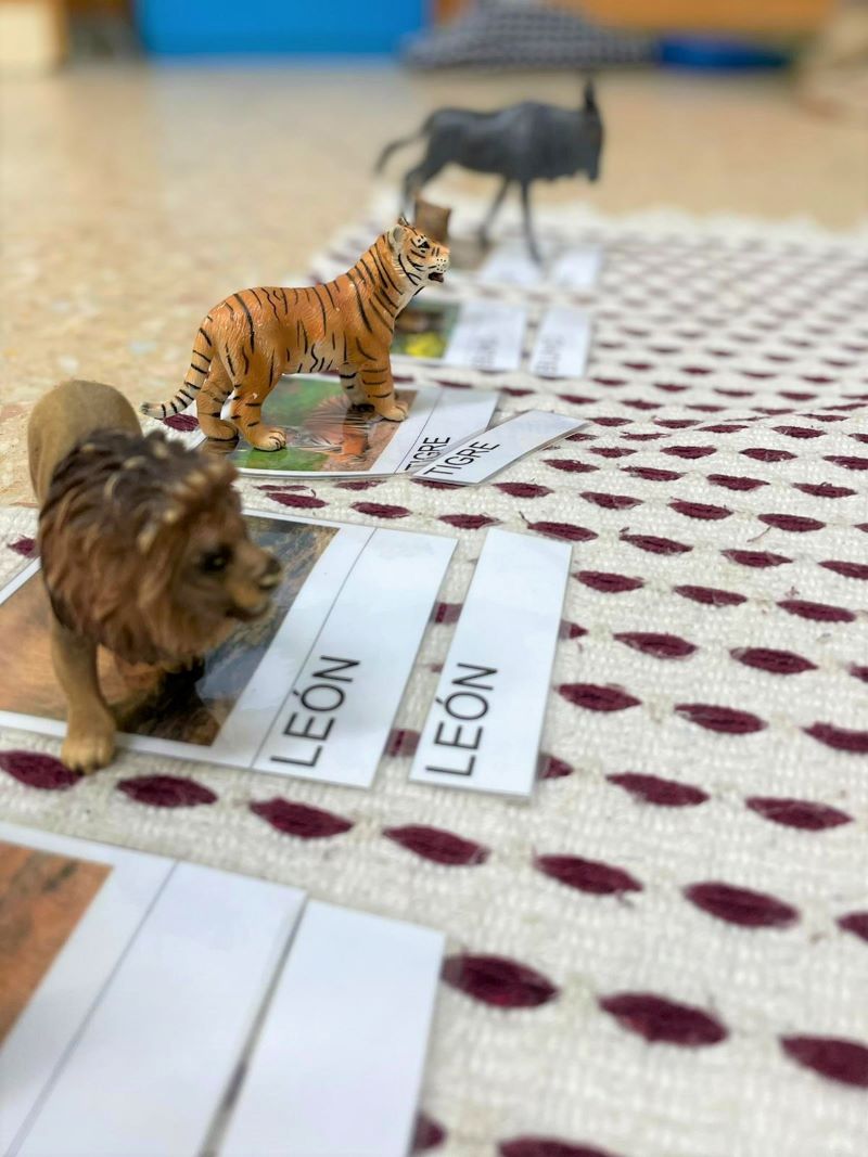 LAS TARJETAS DE TRES PARTES MONTESSORI