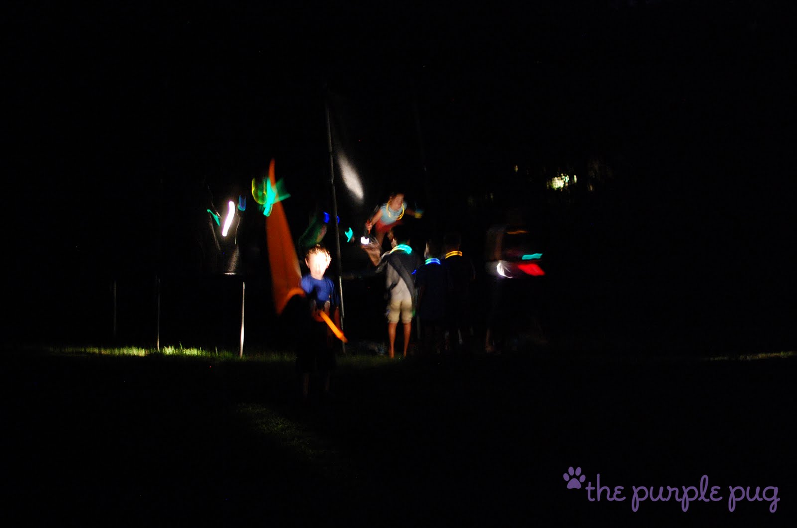 The Purple Pug: A Midsummers Night's Tiny Rave