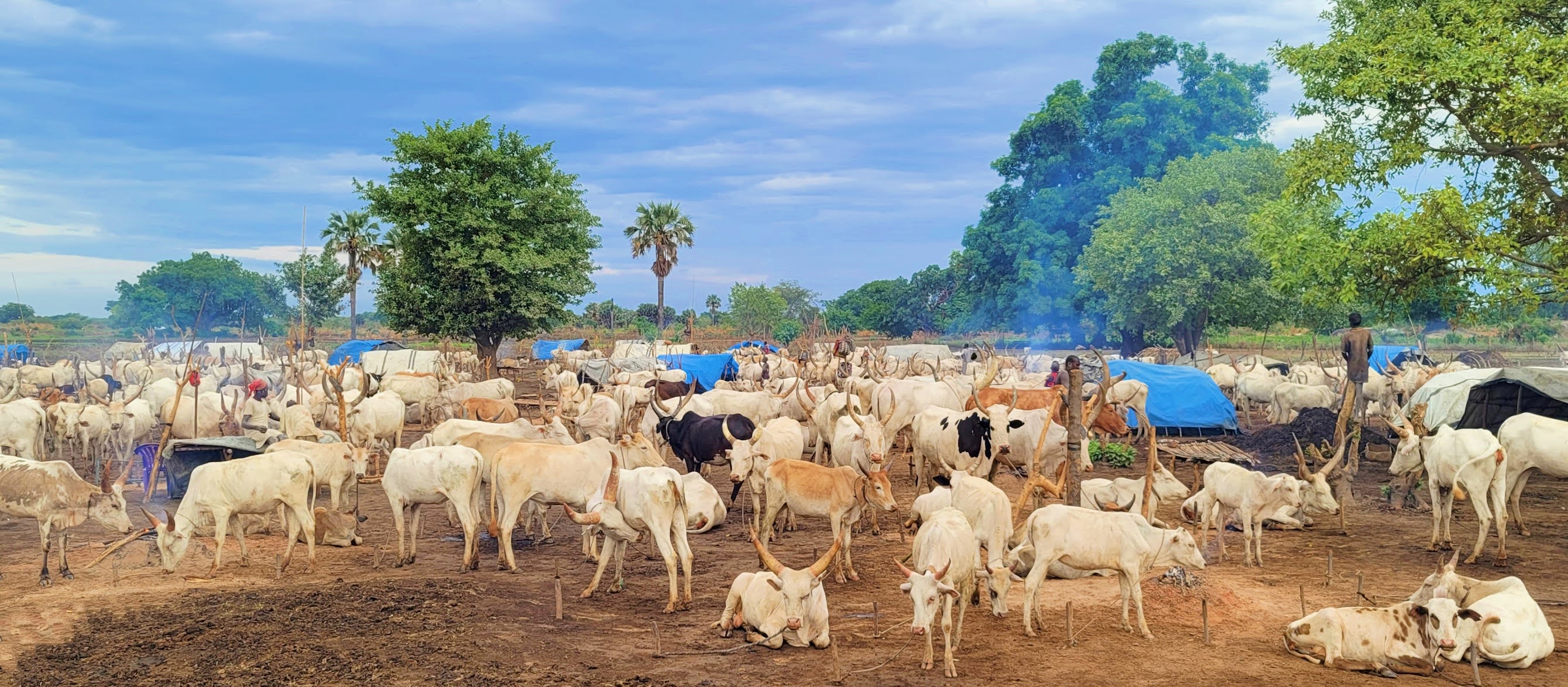 Bill's Excellent Adventures: South Sudan