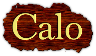 Colecciones Discográficas: Calo Discografia Completa 2021 MEGA