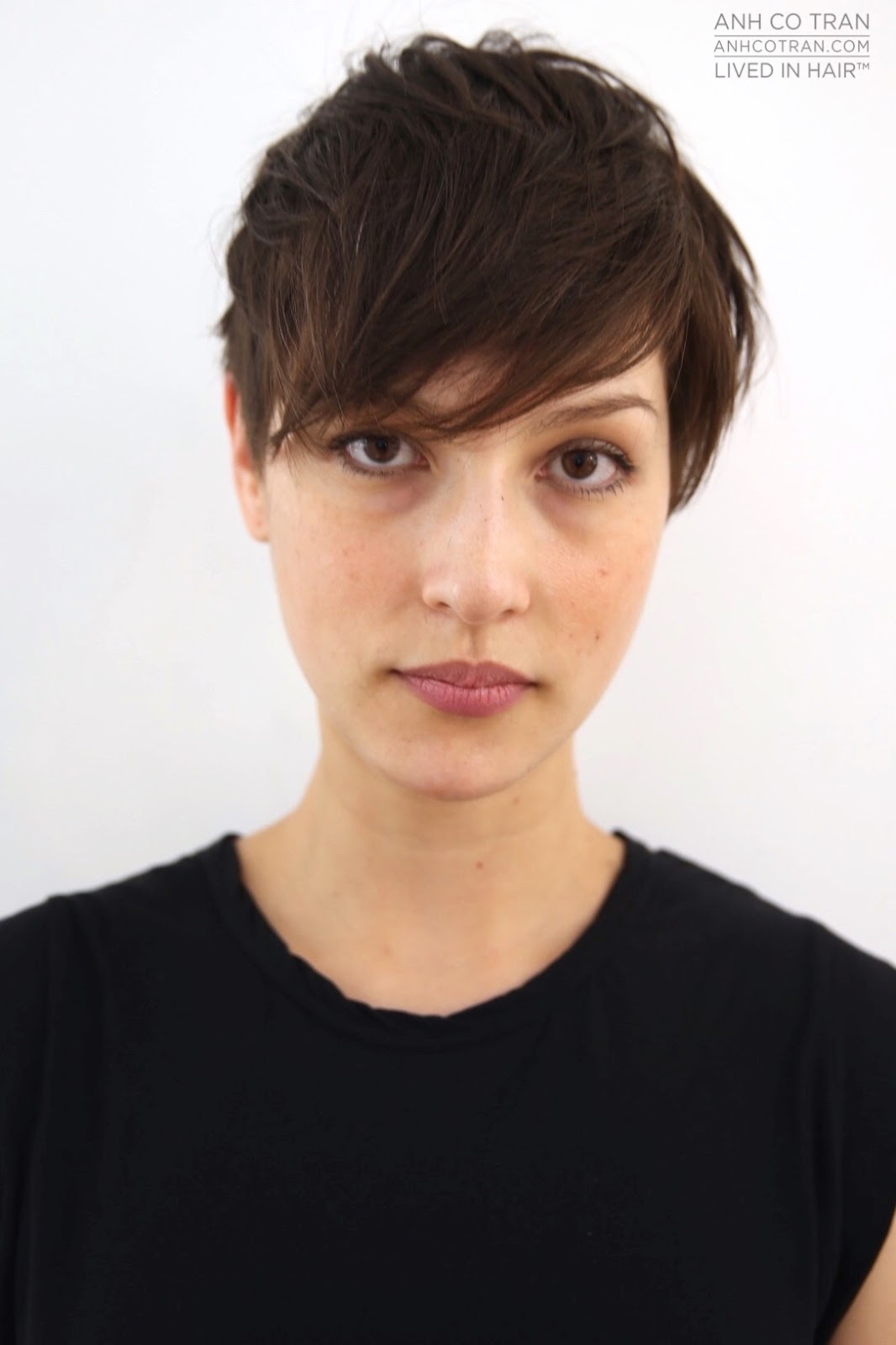 PIXIE INSPIRATION - Anh Co Tran