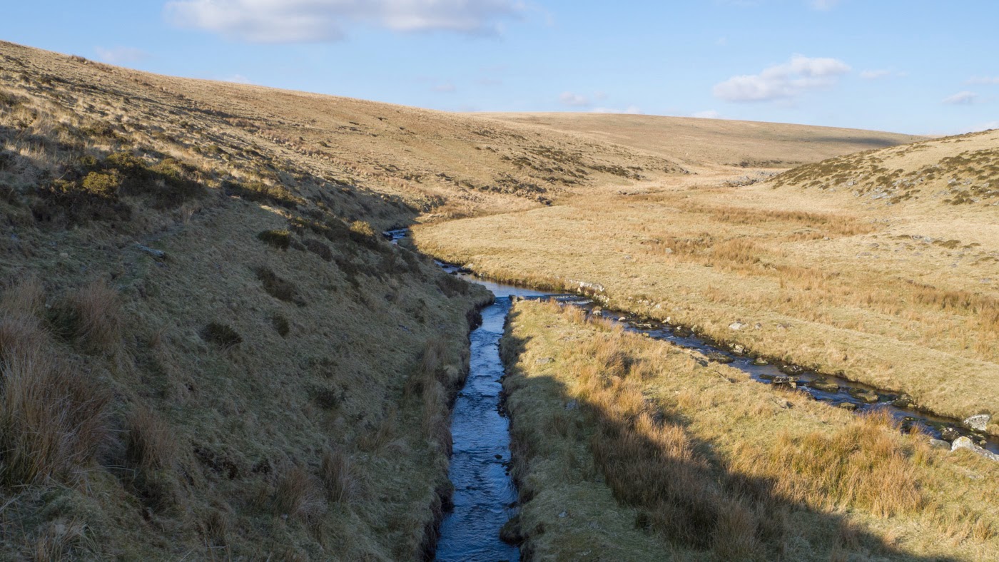 My Dartmoor Walks: Saturday 21st March River Walkham