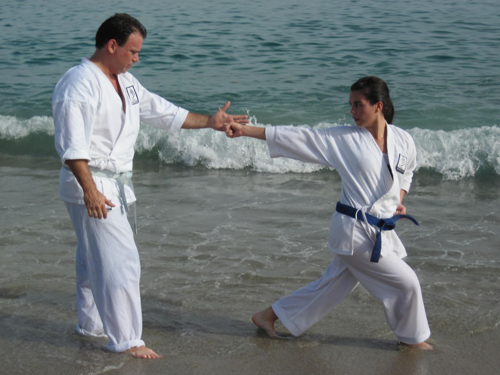 SHOWAKAI KARATE-DO DE VENEZUELA KARATE NO MICHI WORLD FEDERATION ...