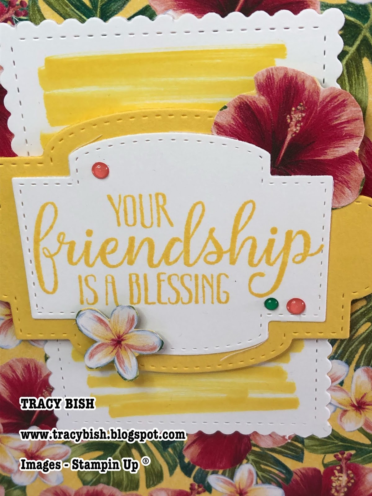 Stampin Up's "So Sentimental" Bundle Friendship Card! - Tracy Bish