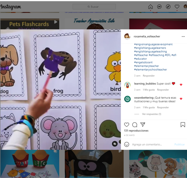 ESL/EFL Preschool Teachers: Pets unit Flashcards for Kindergarten ...