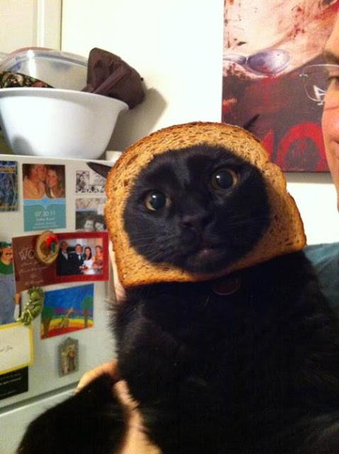 Empanada de gato | Que jaleo!!!