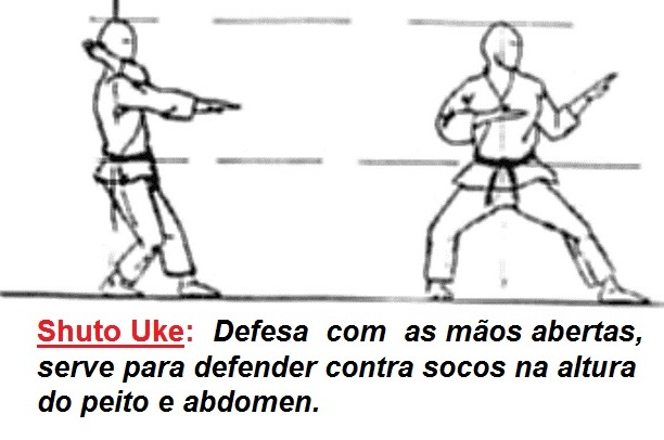 Karate Kids do Brasil: Defesa SHUTO UKE: