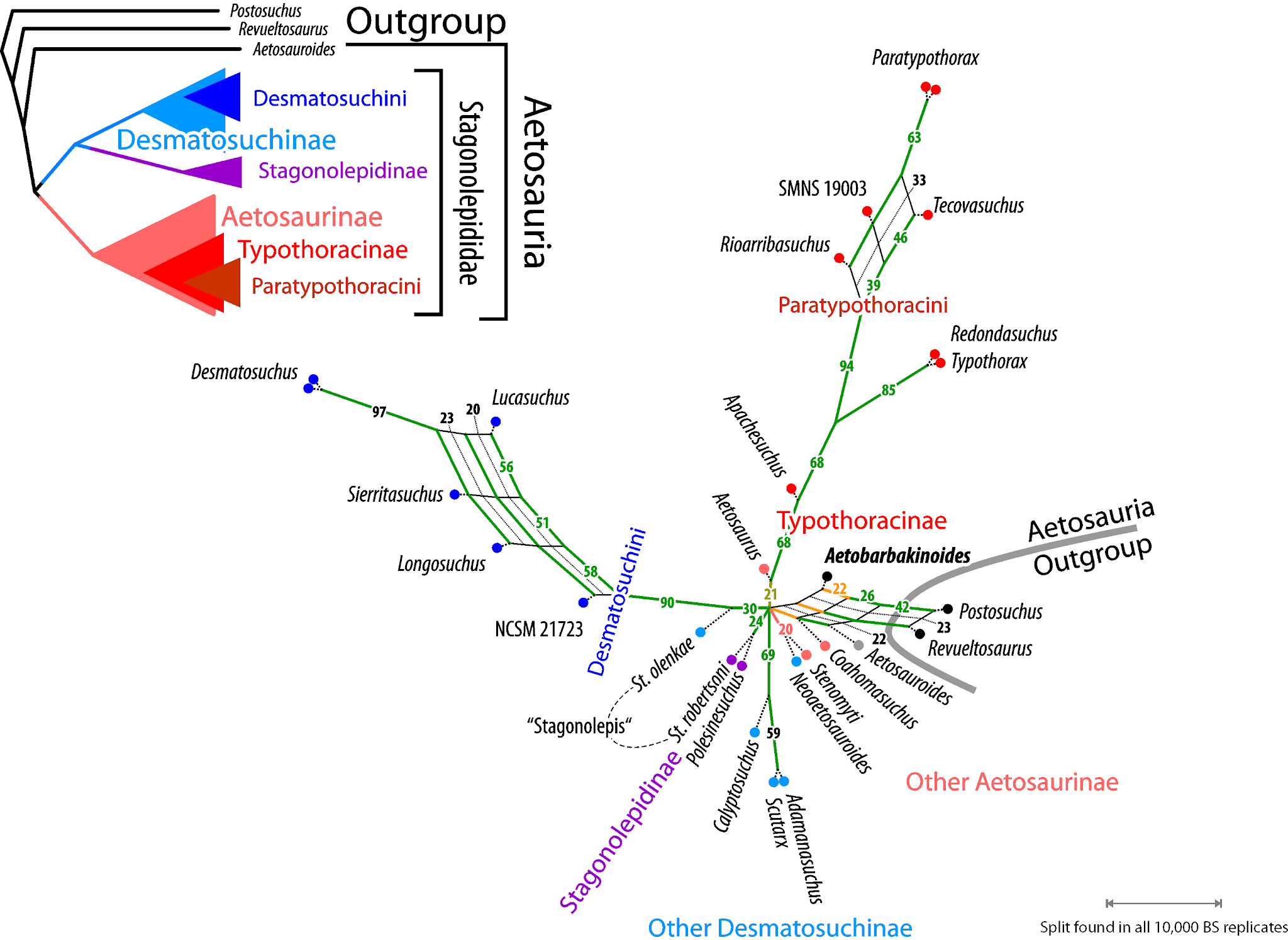 The Genealogical World of Phylogenetic Networks: Rogue dinosaurs, an ...