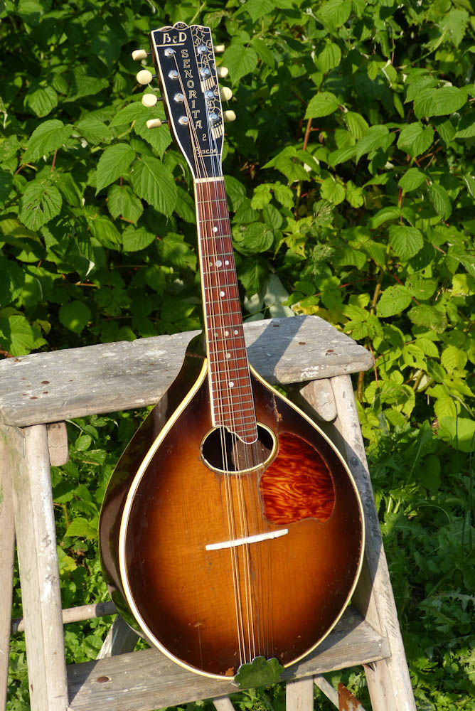 1930s Regal-made Bacon Senorita #2 Flatback Mandolin
