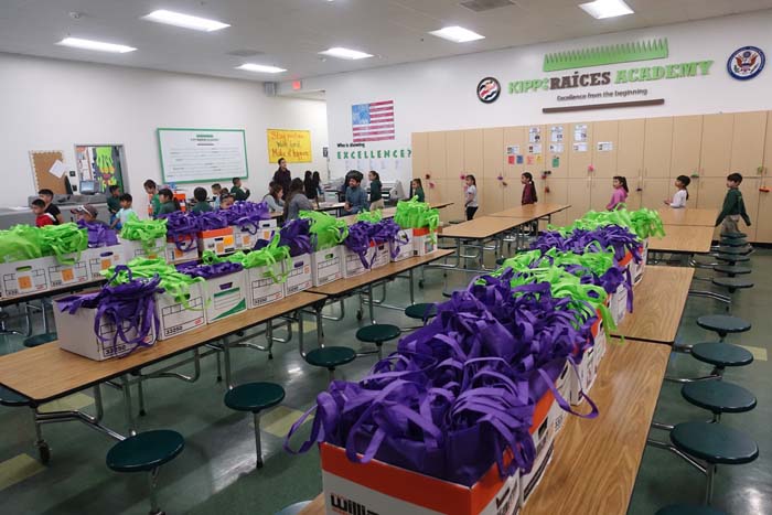 Caroline Arnold Art and Books: PROJECT BOOK BAG: Building Personal ...