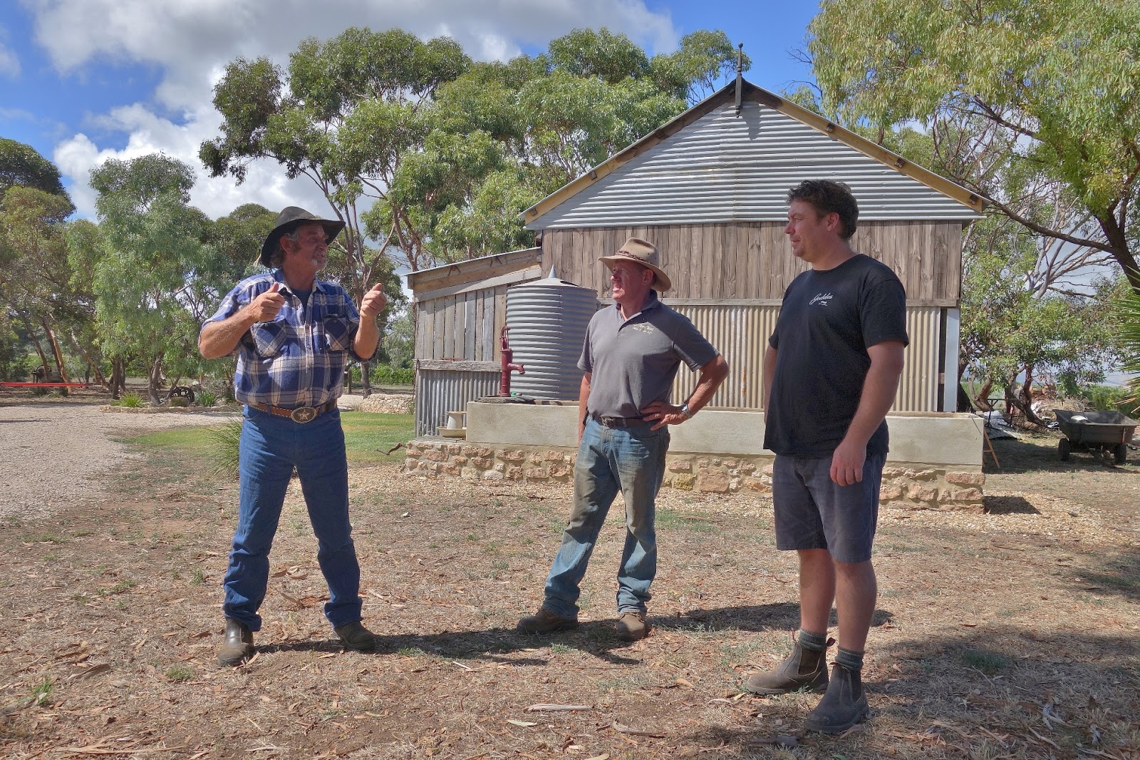 d r i n k s t e r: DROVING ORB SPIDERS WITH COWBOY