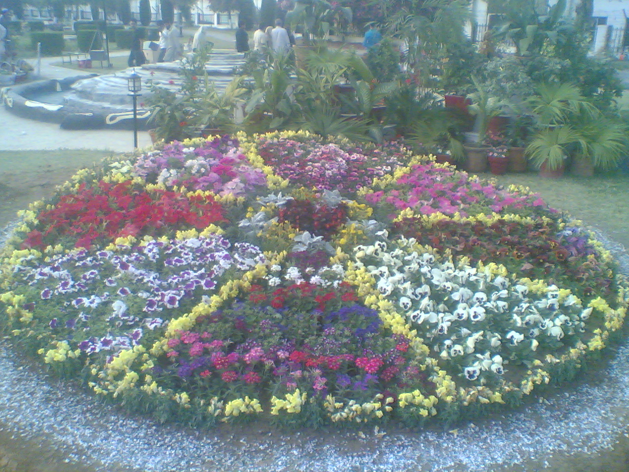 Flower Exhibition | best site