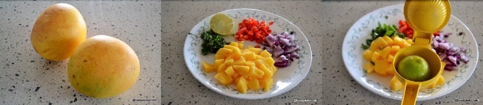 Mango Salsa Recipe | Mango & Mint Salsa | Mango Salsa with corn chips ...