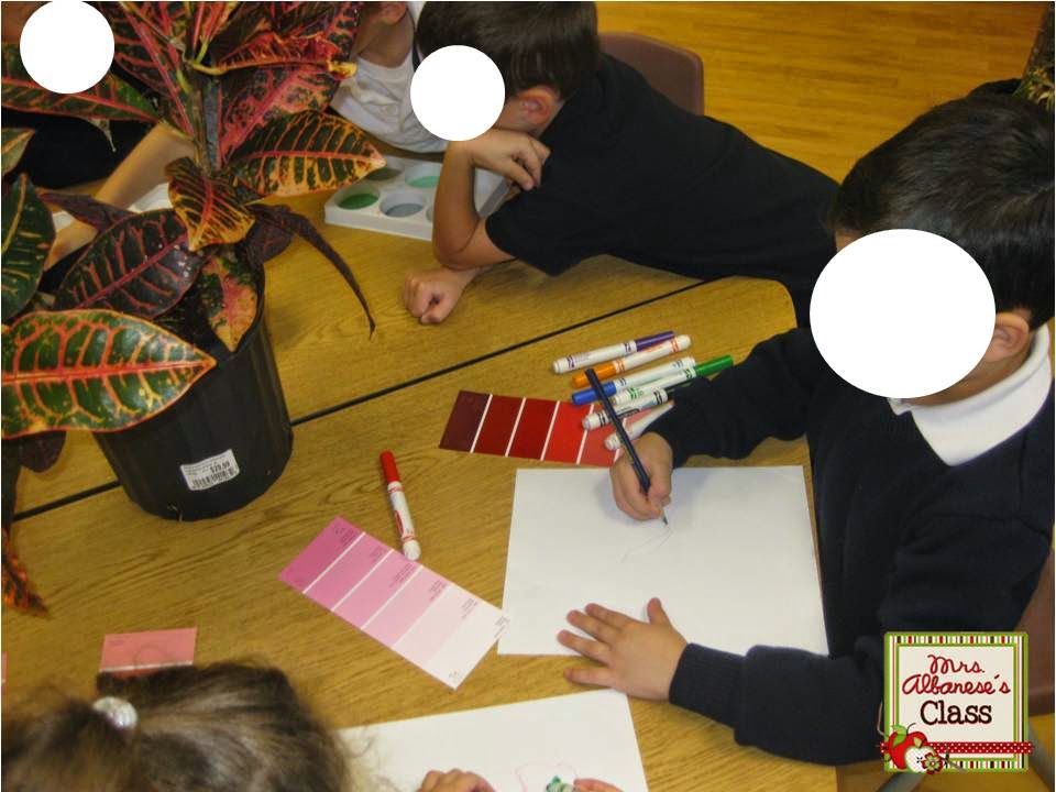 Our Colour Inquiry - Part 1 | Mrs. Albanese's Kindergarten Class