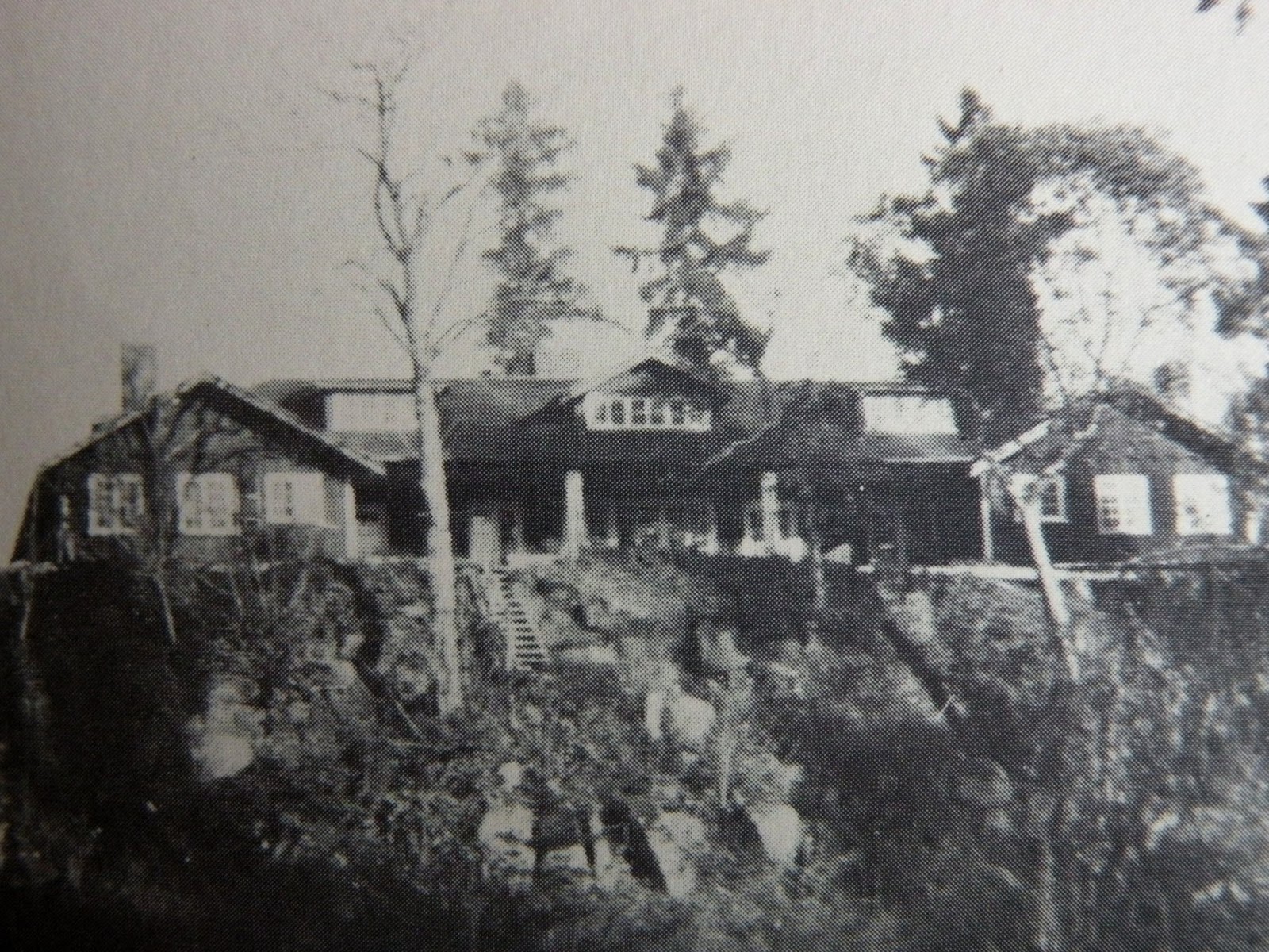 farmlass: Ramble on....