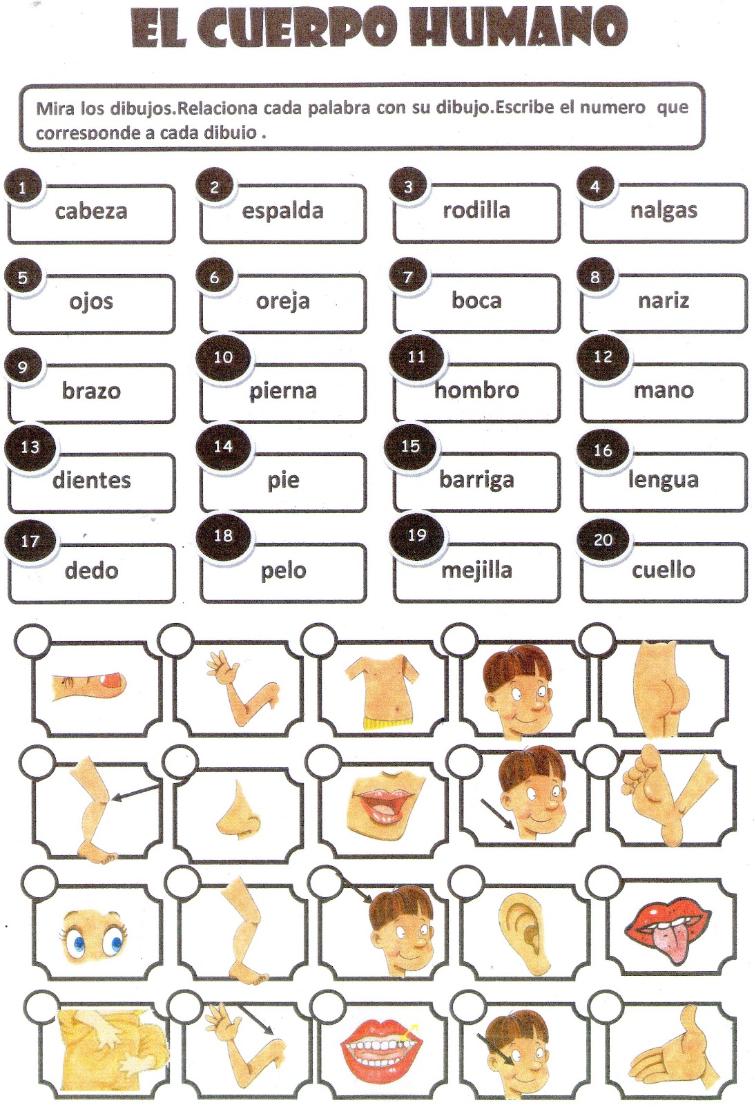 MUCHAS OTRAS COSAS : EJERCICIO LAS PARTES DEL CUERPO