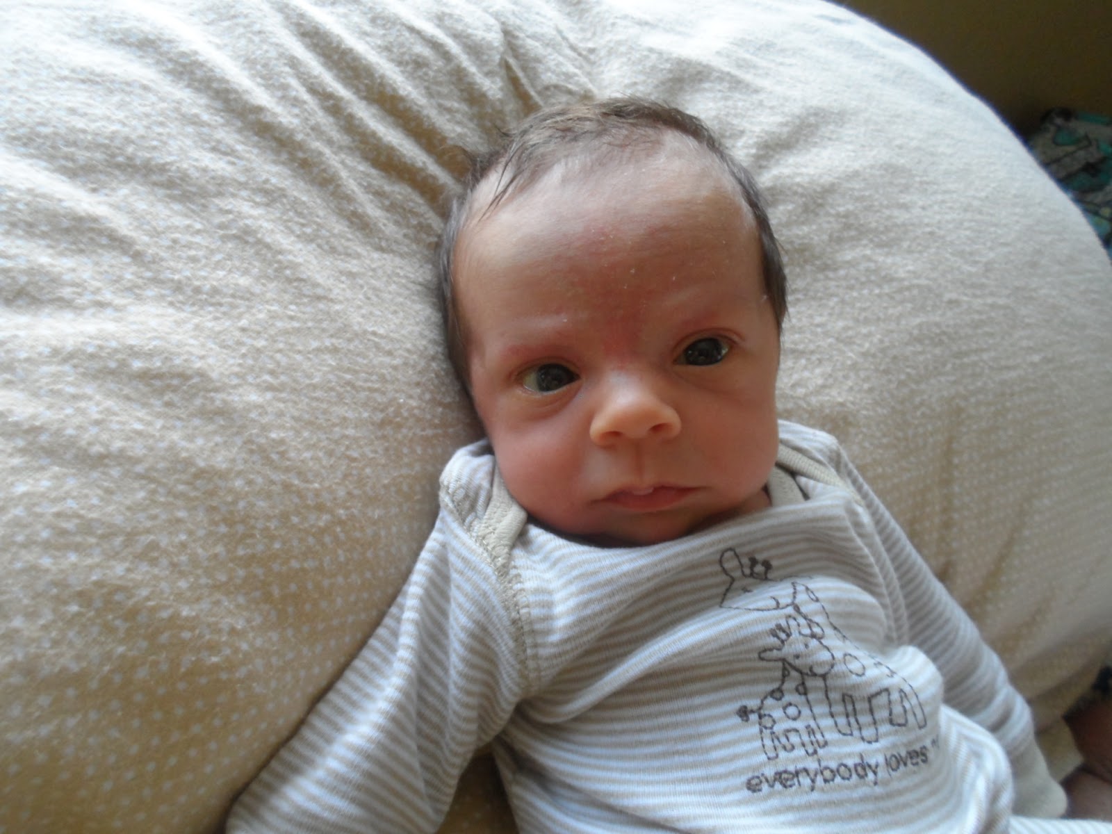 Amber Pfister's Instagram, Twitter & Facebook on IDCrawl