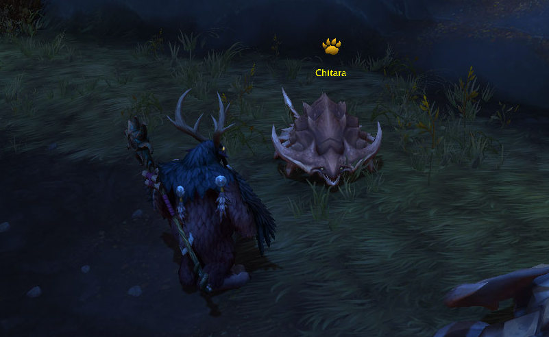 My Noob Notebook: BfA Pet Battles: Unbreakable