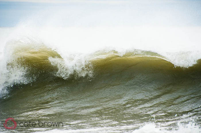 Surfing Nadine at Point Judith – Cate Brown // Ocean Art