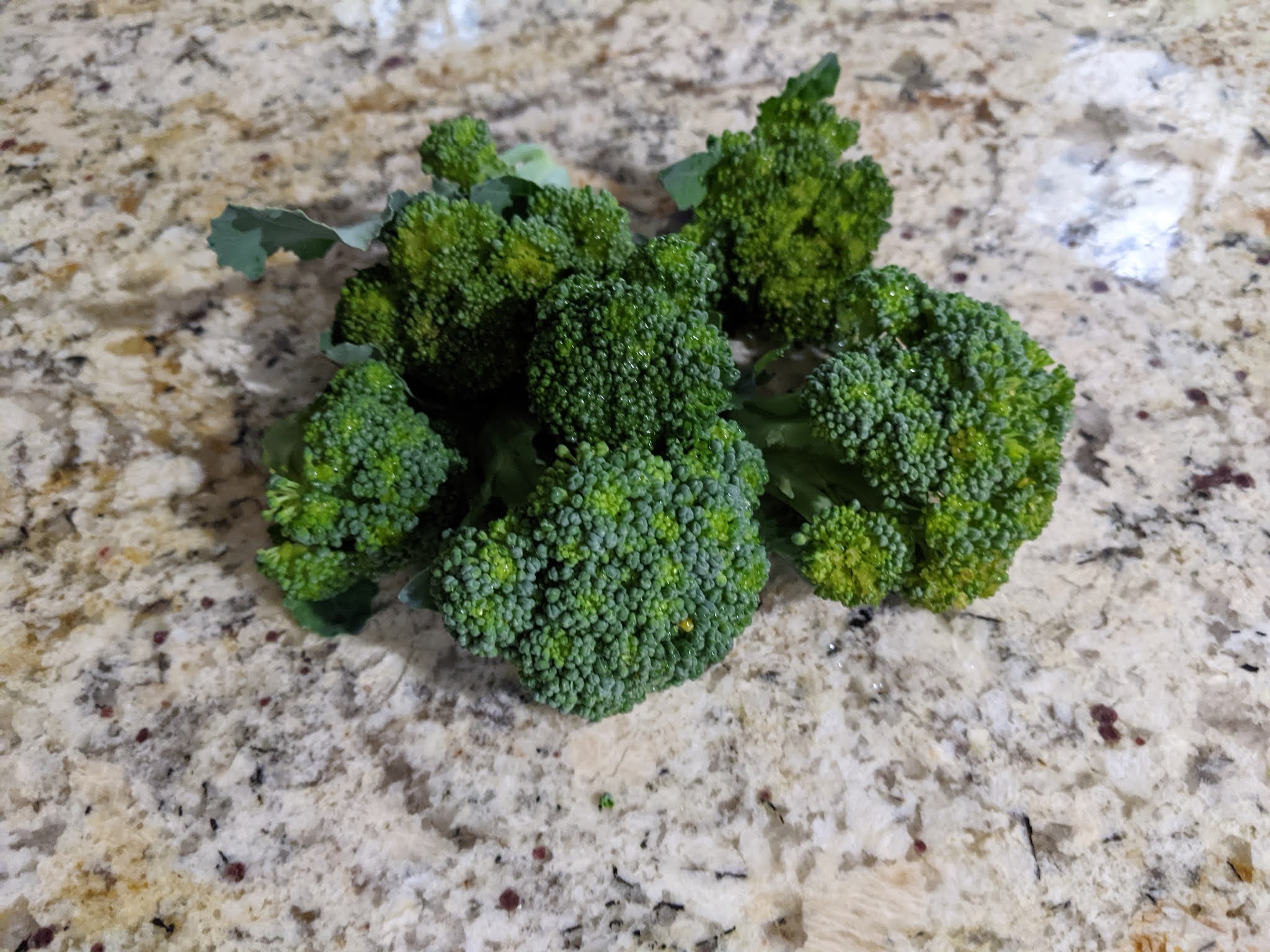 Eight Gate Farm - New Hampshire: Harvest Monday - 12 July 2021