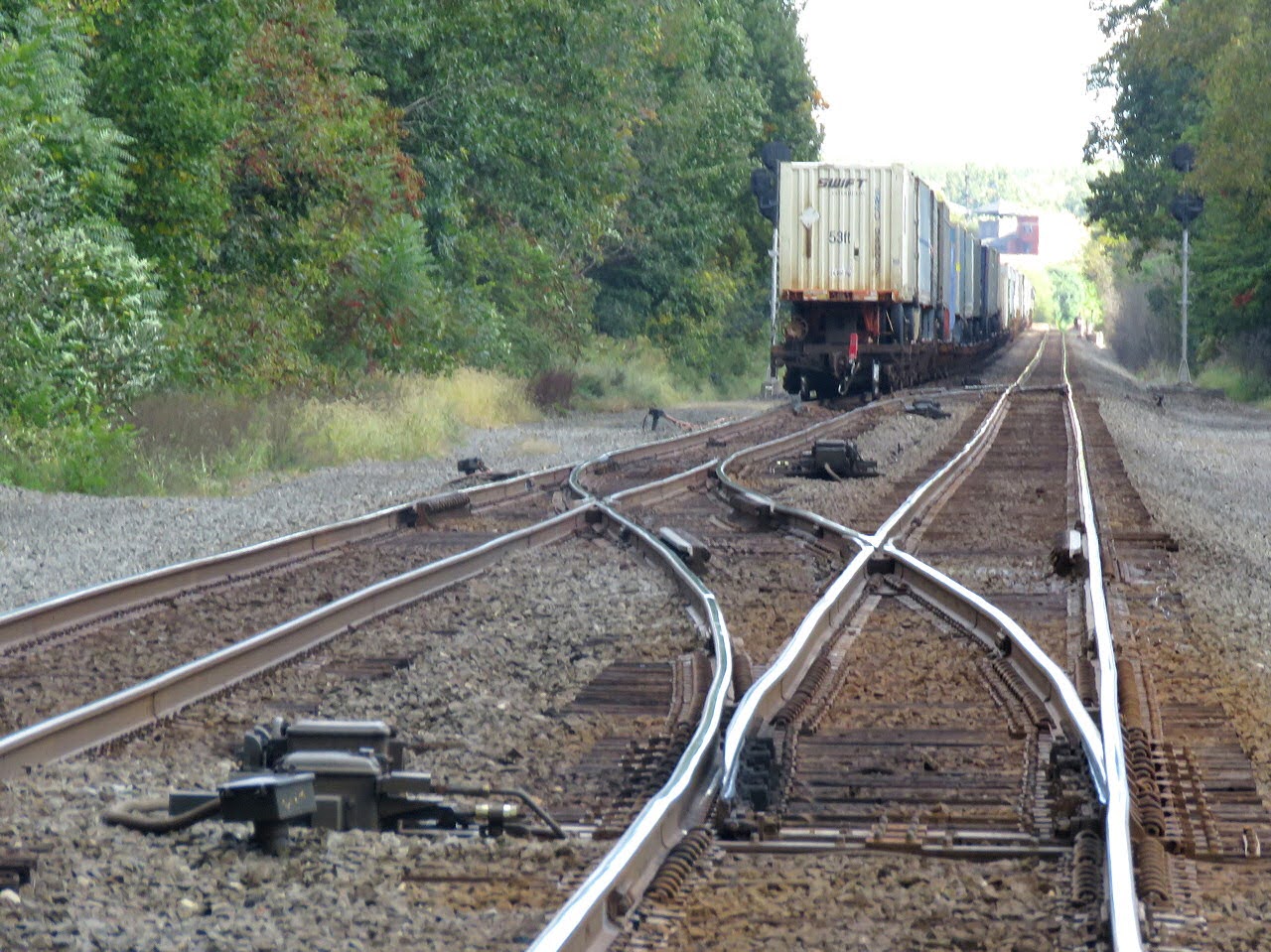 Jersey Mike's Rail Adventures: 20-10-01 PHOTOS: RAVE