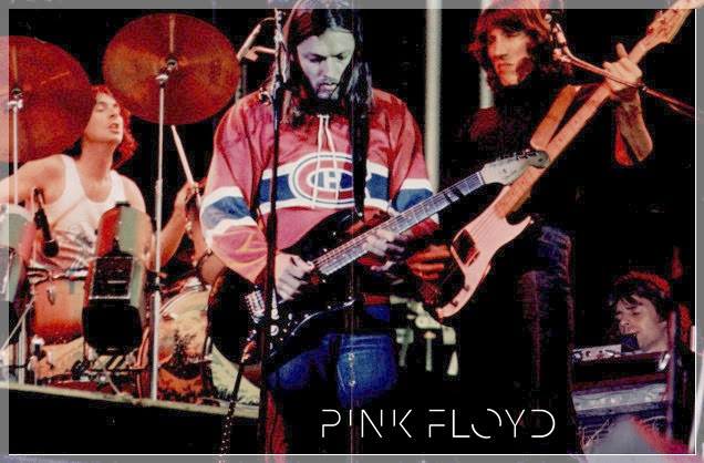 Pink Floyd Ilustrado: 1979 Another Brick In The Wall (Part II) - Single