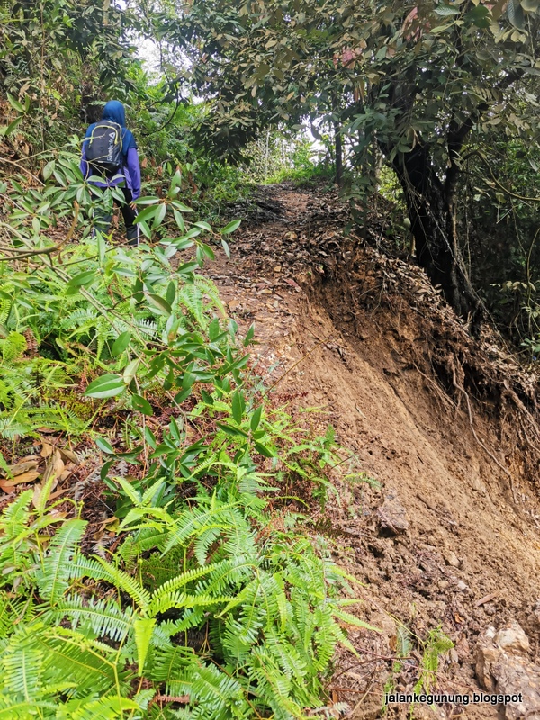 Jalan Ke Gunung: Trekking ke Bukit Tunggal Kampung Gajah