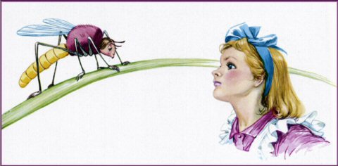 Through The Illustrated Looking Glass: Chapter 3 ~ Looking-Glass Insects