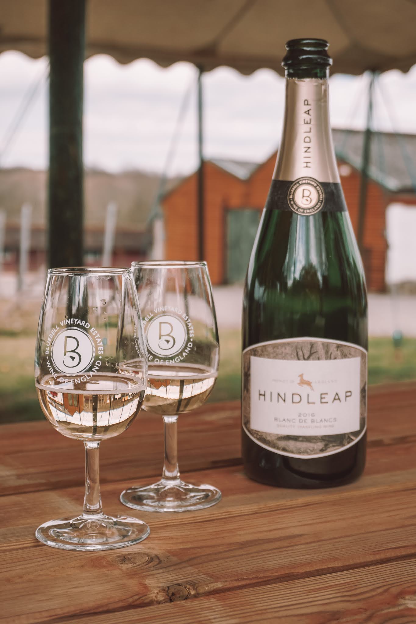 Wine tasting at Bluebell Vineyard