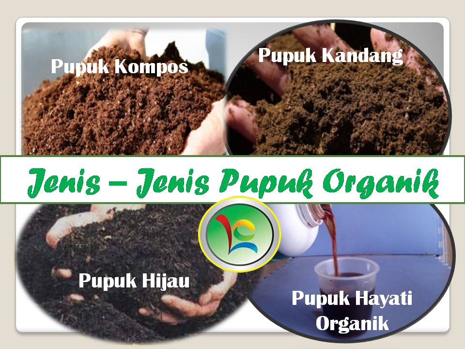 Mari Kenali Beberapa Jenis Pupuk Organik!! | Pertanian Padi