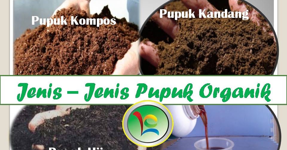 Mari Kenali Beberapa Jenis Pupuk Organik!! | Pertanian Padi