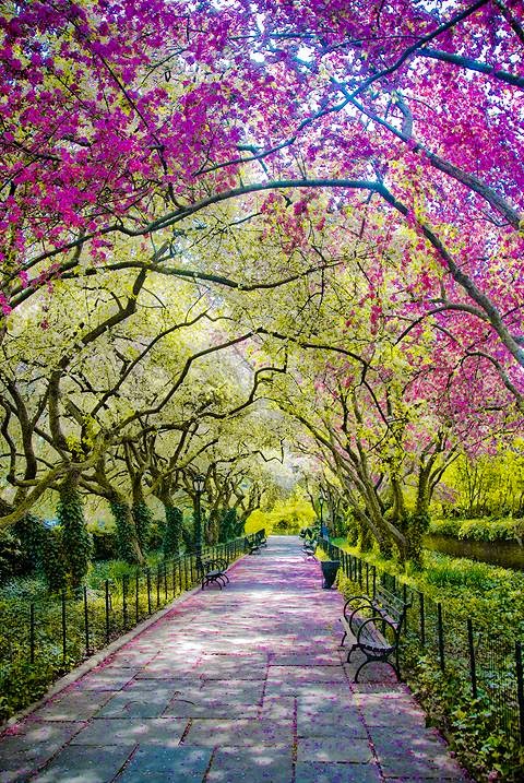 lovely streets ~ Stunning nature