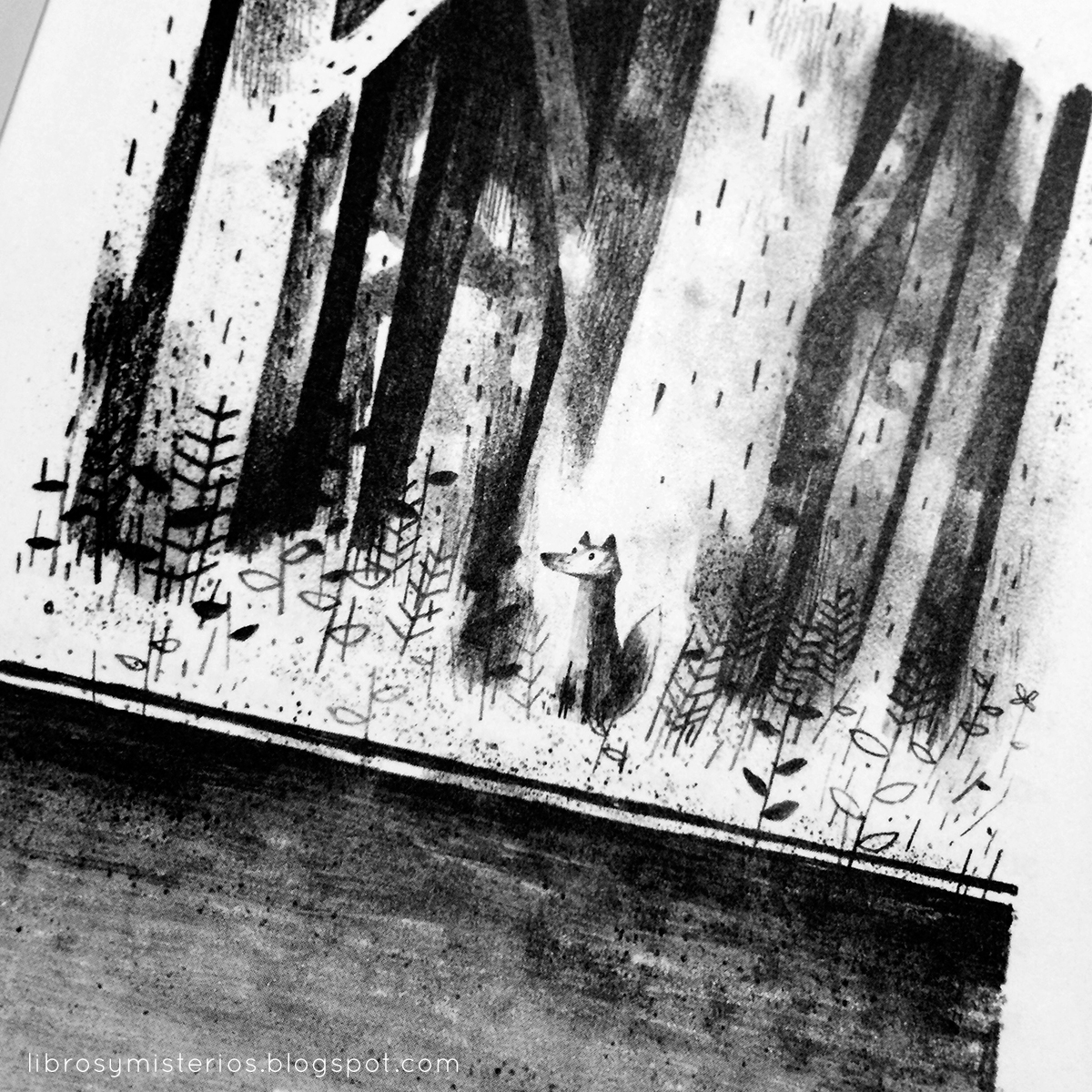 Libros y Misterios: Pax ~ Sara Pennypacker