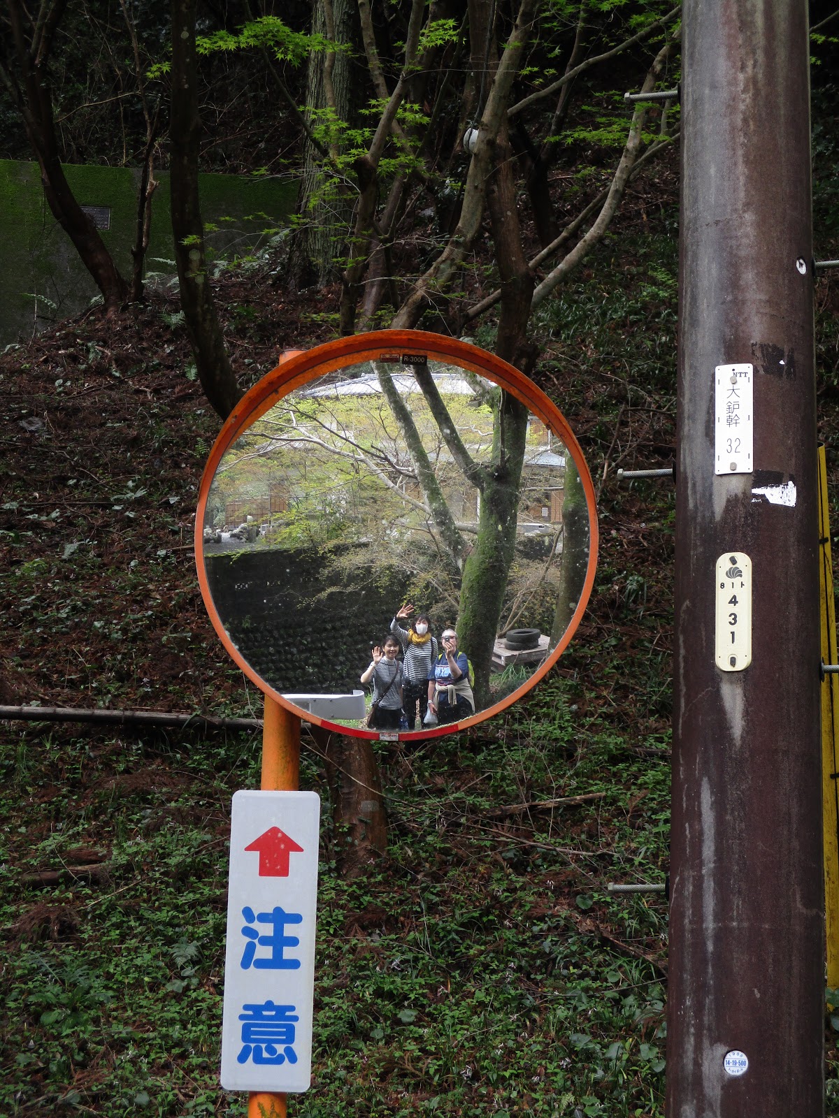 Hokkaido Kudasai: The Moss Head is Missing