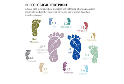 Digital Sustainability Journal: Mid Sem-1 Global Footprint Network