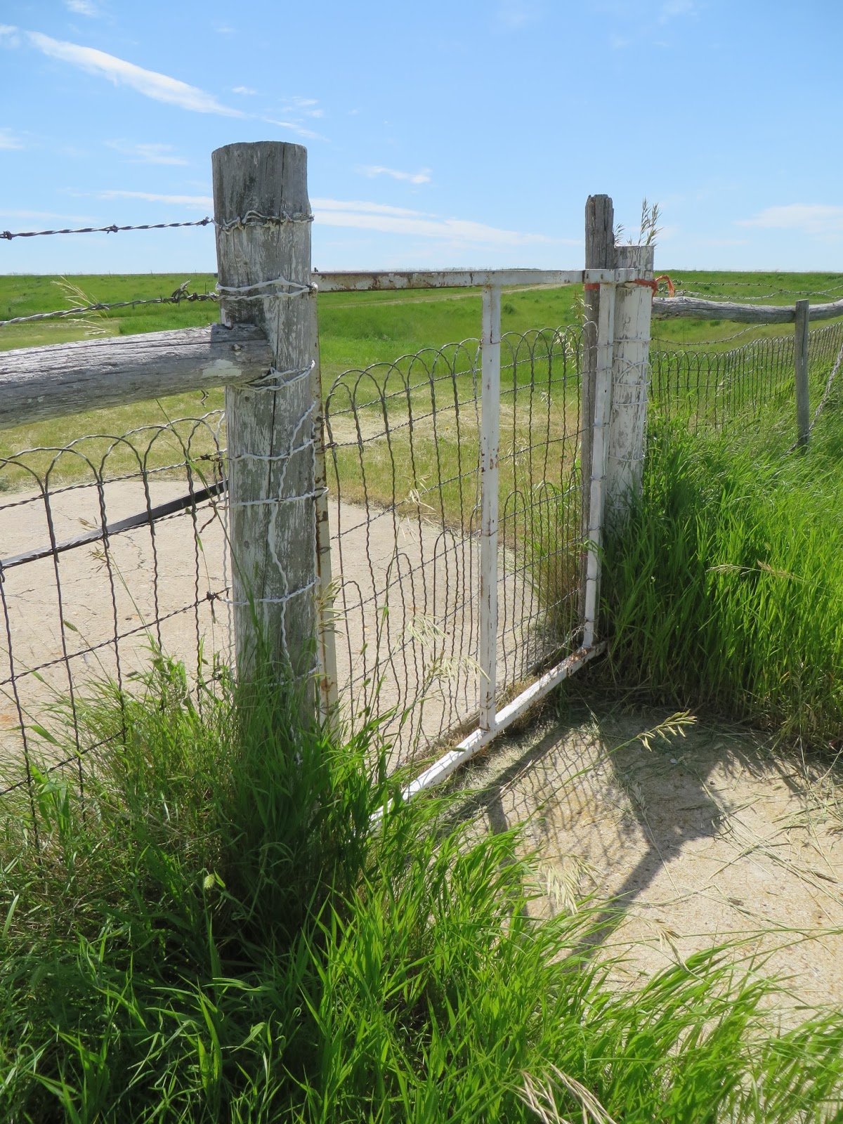 From Old West to Mountain West: Opheim, Montana