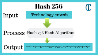 SHA 256: Compute a SHA 256 hash using C# for effective security - .Net ...