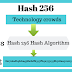 SHA 256: Compute a SHA 256 hash using C# for effective security - .Net Core | MVC | HTML Agility ...