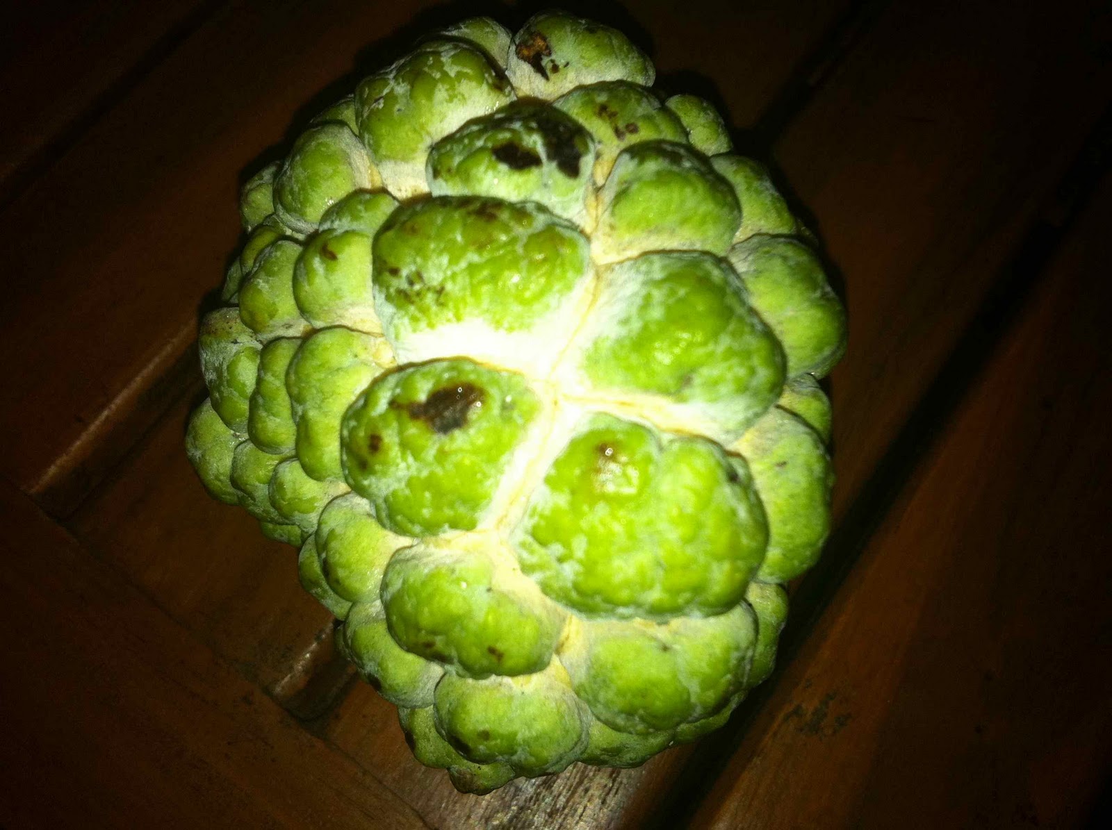 Lindh i Thailand