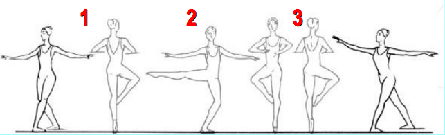 Physics 111: Fundamental Physics I: Physics in Ballet