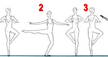Physics 111: Fundamental Physics I: Physics in Ballet