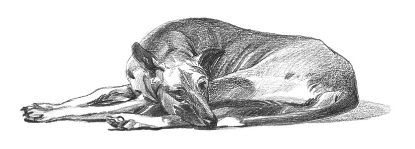 TIFFANY PROTHERO sketchblog : Resting