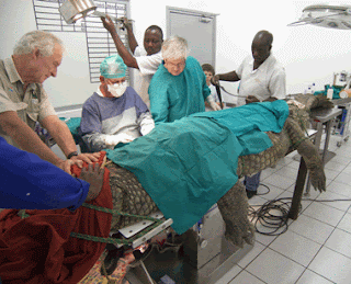 Ballito Veterinary Hospital