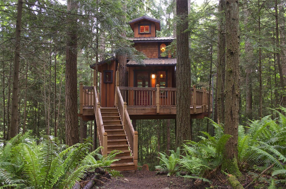 Oh, by the way...: Treehouses!