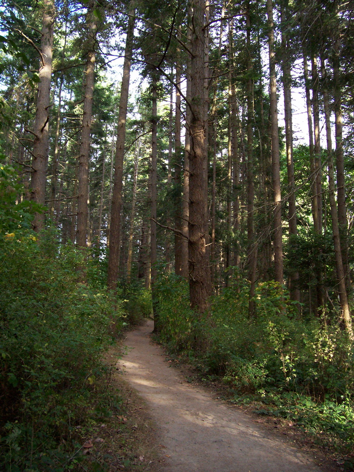 Vancouver Island Big Trees: Devonian Regional Park, Metchosin