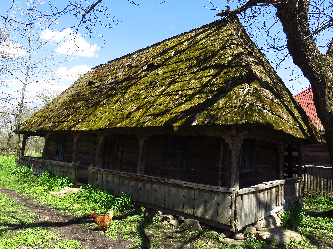 Jurnal de Calatorii: SATUL BREB (MARAMURES- ROMANIA) ÎN IMAGINI - 2021