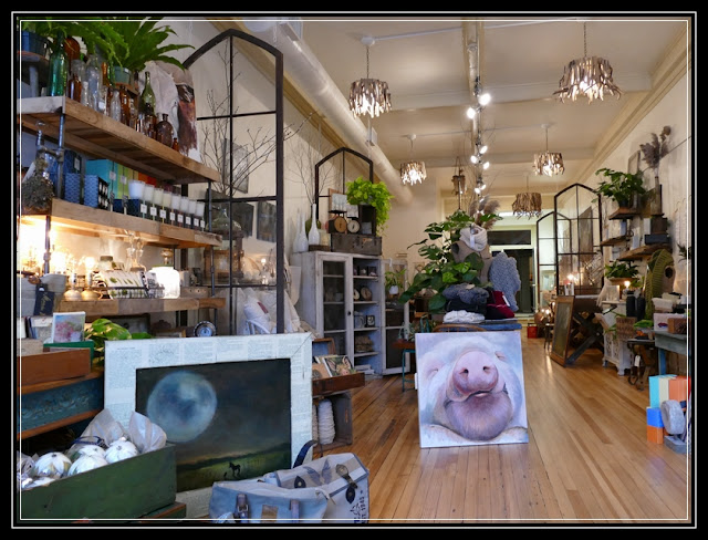 Passion - When you Reach for the Stars but Touch the Moon - The Shelly ...